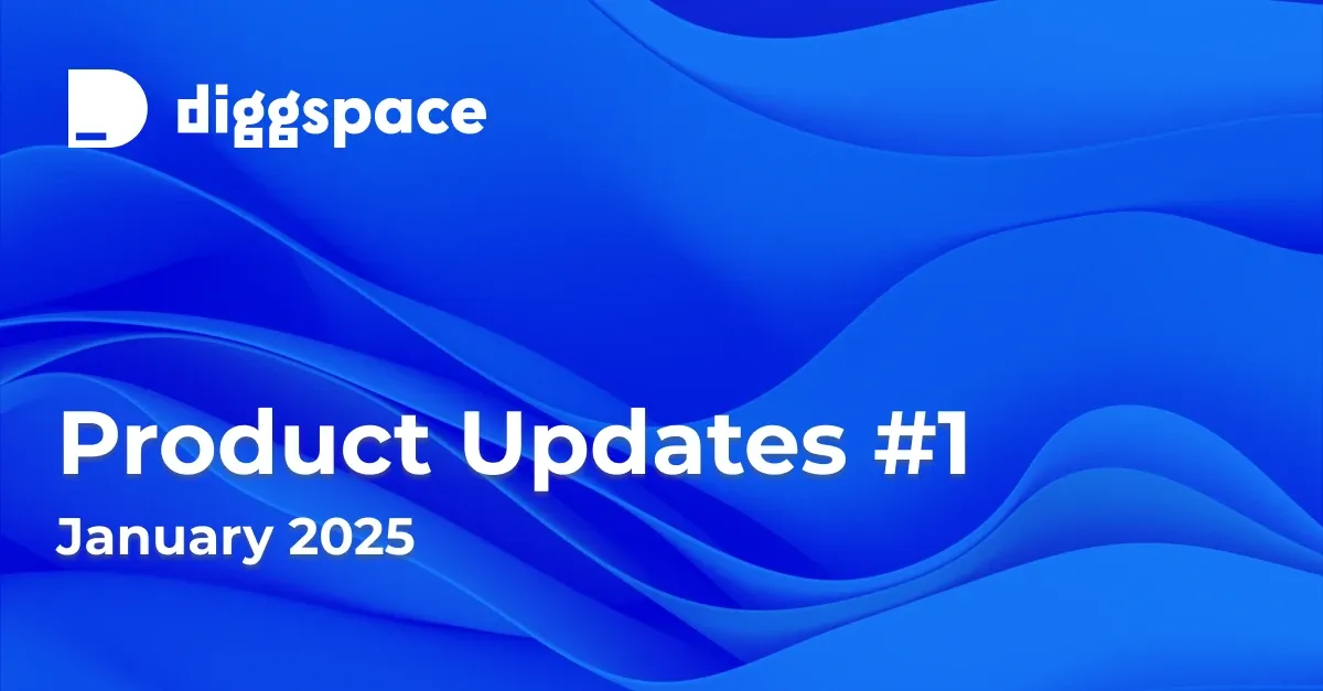 Diggspace Updates - January 2025: New Features & Fixes